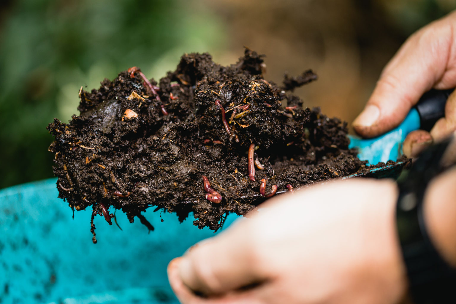 Formation : Compost en intérieur | WORMS asbl